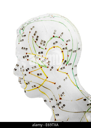 Meridianlinien auf eine Akupunktur-Figur Stockfoto, Bild: 23410553 - Alamy