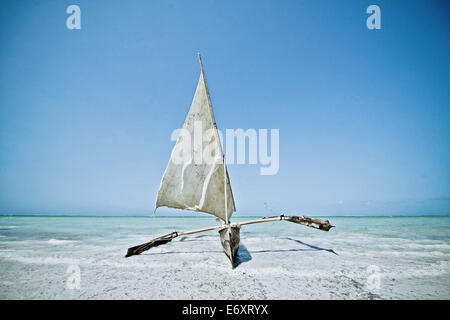 Dhau, traditionelle Segeln Boot, Sansibar, Tansania, Afrika ...
