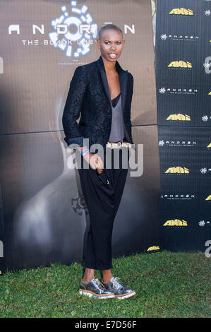 Deborah Dyer alias Skin of Skunk Anansie lebt in der Wulfrun Hall in ...