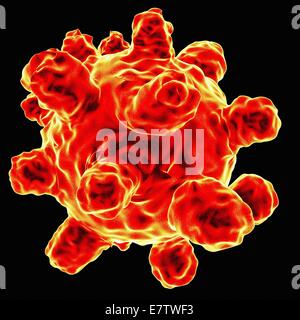 Masern Virus Partikel, computer Abbildung. Dieses Virus aus der Gruppe ...