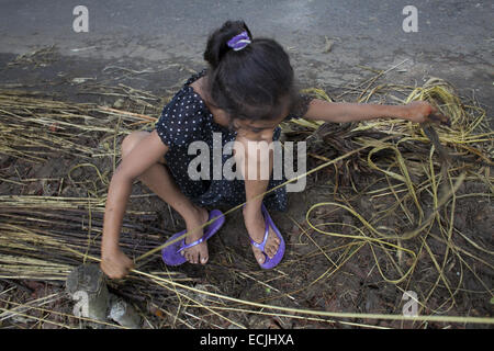 Munshigonj, Bangladesch. 14. August 2013. Landwirt Verarbeitung Jute ...