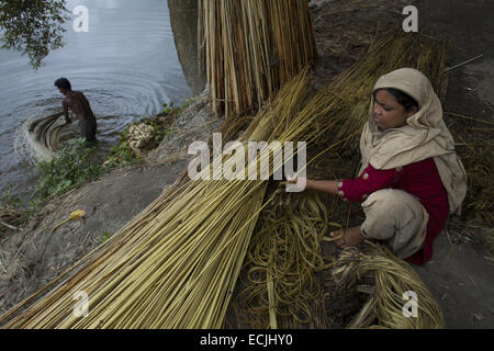 Munshigonj, Bangladesch. 14. August 2013. Landwirt Verarbeitung Jute ...