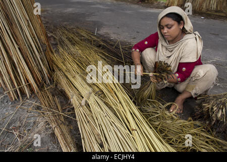 Munshigonj, Bangladesch. 14. August 2013. Landwirt Verarbeitung Jute ...