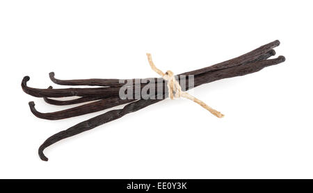 Bourbon Vanilleschoten auf Anlage im Vanilla Bauernhof La Réunion ...