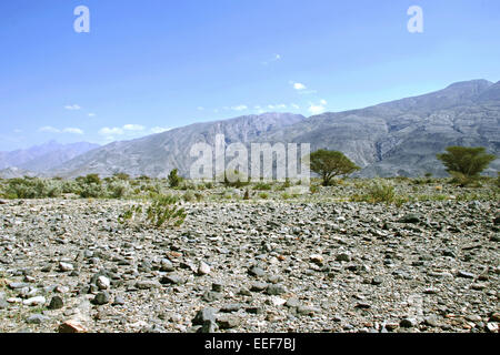 Oman Arabische Halbinsel Naher Osten Sultanat Steinwueste Berge Nahe ...