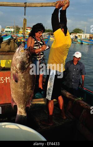 MERO 22jährige Fisch - Port in PUERTO PIZARRO. Abteilung von Tumbes ...