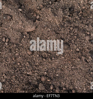 Erde-Textur mit einer kleinen steinernen Beimischung Stockfotografie ...