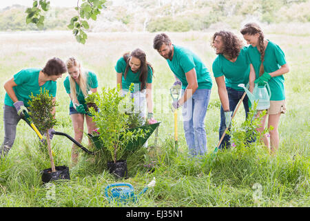 Glückliche Freunde Gartenarbeit für die Gemeinschaft Stockfoto, Bild ...