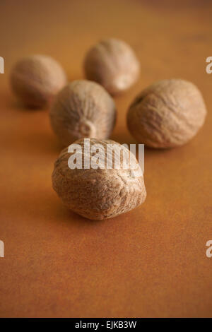 Muskatnuss (Myristica fragrans) ein aromatisches Gewürz und eine große ...