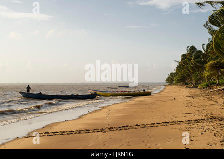 Schildkröte-Spuren am Strand, Galibi, Surinam Stockfotografie - Alamy