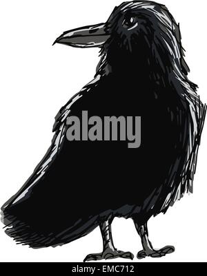 Handgezeichnete schwarze Krähe. Rabe, Vogel-Skizze, Vektor-illustration ...