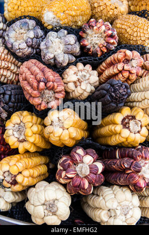 Verschiedene Sorten von nativen Mais (Mais) in Cusco, Peru ...