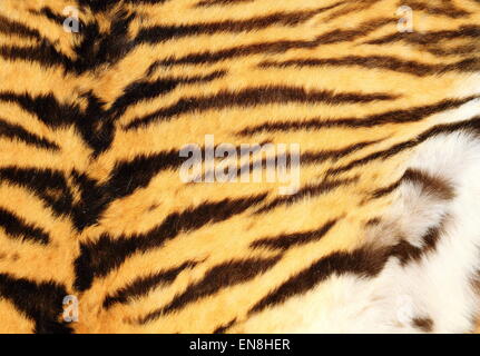 detaillierte Tiger Streifen Fell, echten Tierfell Stockfotografie - Alamy