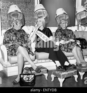 Der neu gekrönte Miss World, feiert Eva rueber ans-Staier Österreichs ...