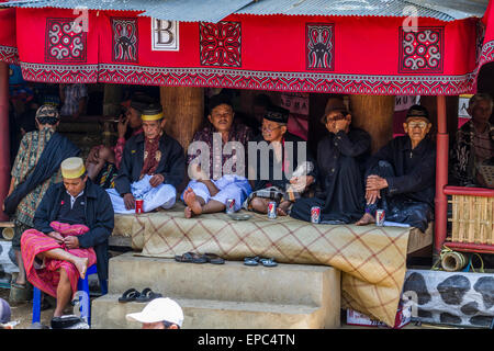 Animismus, Animisten, Religion, Spiritualität, Heidentum ...