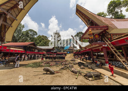 Animismus, Animisten, Religion, Spiritualität, Heidentum ...