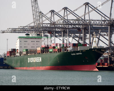 Die *EVER UNITED* ist ein Containerschiff mit der IMO-Nummer 9116589 ...