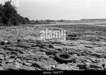 Polizei und Tracker Hunde suchen den Strand von Sully, wo Betty Elston ...