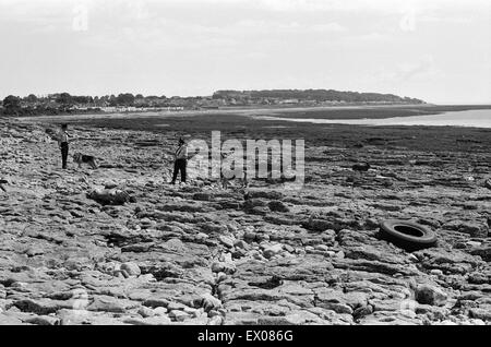 Polizei und Tracker Hunde suchen den Strand von Sully, wo Betty Elston ...