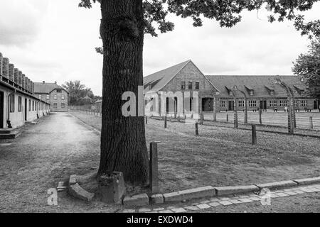 schwarze und weiße Auschwitz KZ Stop halt Zeichen Stockfoto, Bild ...