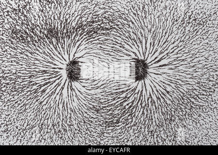 Magnetische Feldlinien des Stabmagneten. Die kleinen Magneten Nadel ...