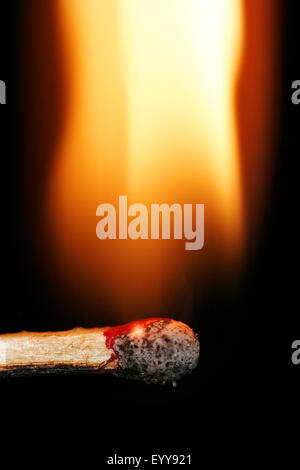Ein brennendes Streichholz Nahaufnahme Stockfoto, Bild: 8889854 - Alamy