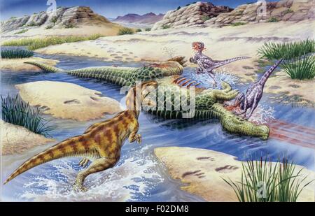 Palaeozoology - Kreidezeit - Dinosaurier - Herde von Aublysodon ...