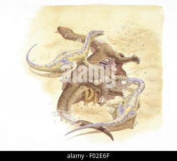 Palaeozoology - Trias - Dinosaurier - Euparkeria (Archosaurier) und ...