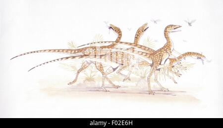 Palaeozoology - Trias - Dinosaurier - Euparkeria (Archosaurier) und ...