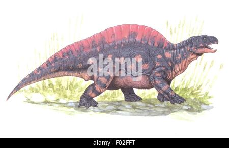 Palaeozoology - Trias - Dinosaurier - Euparkeria (Archosaurier) und ...