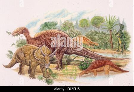 Palaeozoology - Kreidezeit - Dinosaurier - Herde von Aublysodon ...