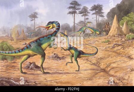 Palaeozoology - Trias - Dinosaurier - Euparkeria (Archosaurier) und ...
