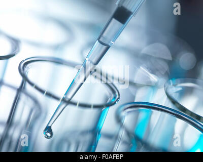 Analytische Chemie - Probe pipettiert wird in Reagenzglas zur Analyse ...
