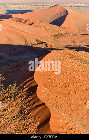 Luftaufnahme des hohen roten Dünen, befindet sich in der Namib-Wüste ...