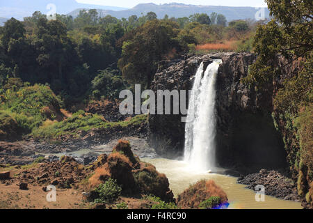 Region Amhara, der Wasserfall des blauen Nil, im Hochland von ...