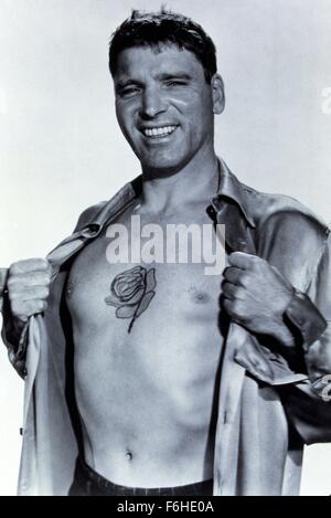 1955, Filmtitel: ROSE TATTOO, Regie: DANIEL MANN, Studio: PARAMOUNT ...