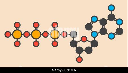 Deoxyadenosine Triphosphat Molekül Stockfotografie - Alamy