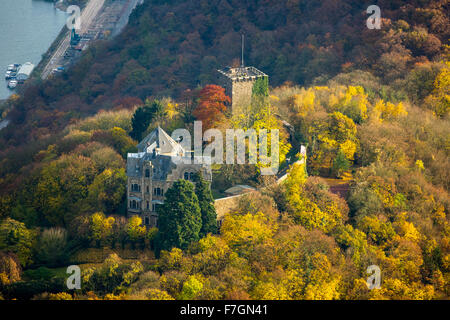 Burg Rheineck im Rheintal, Rhein, Herbst, Bad Breisig, Rheinland-Pfalz ...