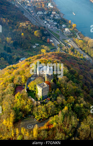 Burg Rheineck im Rheintal, Rhein, Herbst, Bad Breisig, Rheinland-Pfalz ...