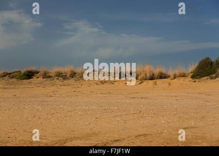 Wüste Duna in der Türkei Stockfoto, Bild: 92187547 - Alamy