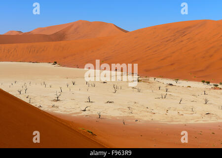 Namib Wüste; Dünen von Sossusvlei, Salz Kaution, Namibia Stockfoto ...
