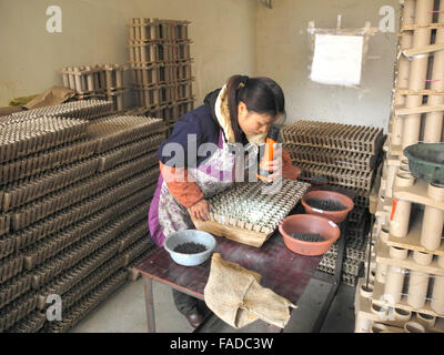 Liuyang, China. 25. November 2015. Das Lager von einer Fabrik für ...