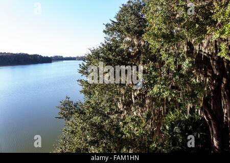Gainesville Florida, Bivens Arm, See, Wasser, Natur, natürliche ...