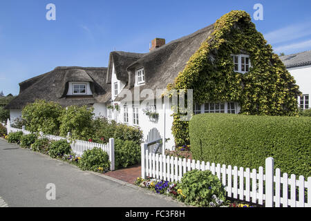 reetgedeckten Haus, Nebel Dorf, Insel Amrum, Nordfriesland, Schleswig ...