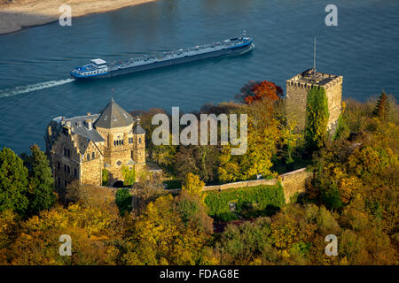 Burg Rheineck im Rheintal, Rhein, Herbst, Bad Breisig, Rheinland-Pfalz ...