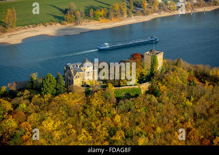 Burg Rheineck im Rheintal, Rhein, Herbst, Bad Breisig, Rheinland-Pfalz ...
