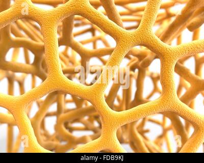 Osteoporose. Computer Kunstwerk der Trabekel in der Spongiosa ...