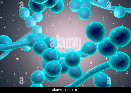 Computer-Darstellung der Pilze (Hefe). Candida Albicans findet sich auf ...