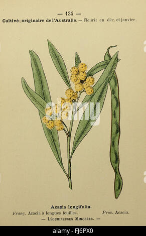 Dieser illustrierte Fremdenführer im Taschenformat von der ...