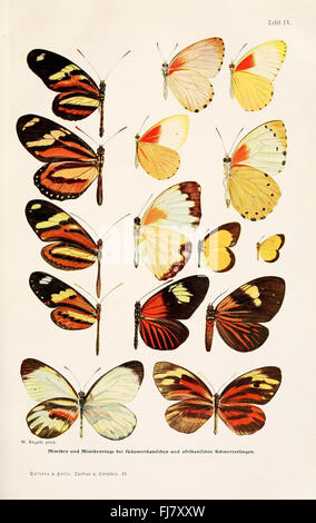 . Die Biologie der Meerestiere. Marine Tiere; Physiologie ...